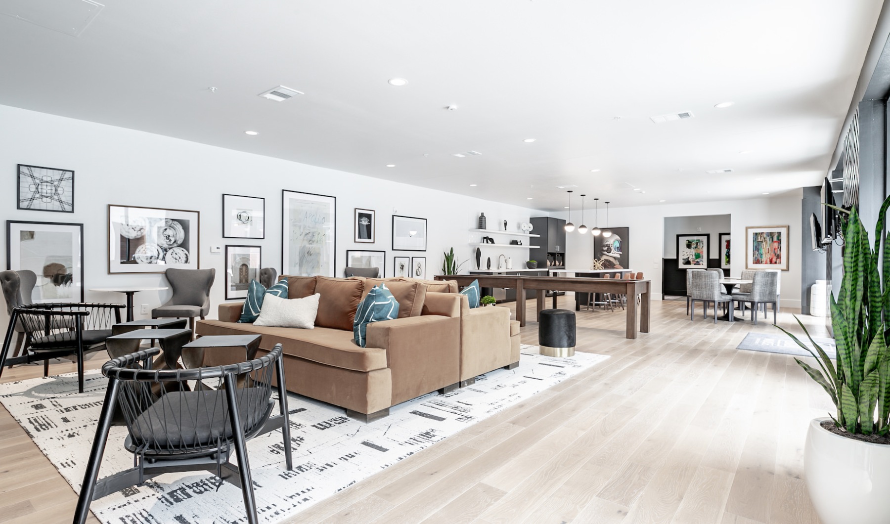 Oklahoma City, OK Apartments for Rent | Muse | Home Page